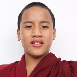 Drepung Loseling Monastery - The Tibet Fund