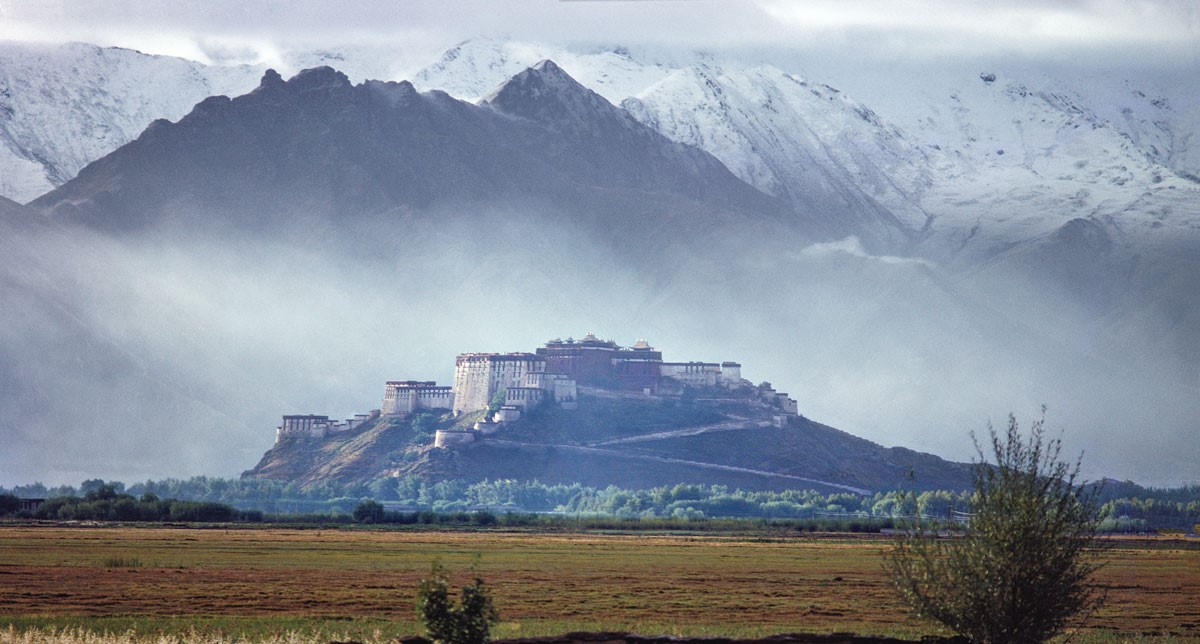 Specific Programs - The Tibet Fund
