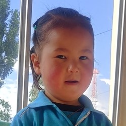 Ladakh Nuns Association - The Tibet Fund